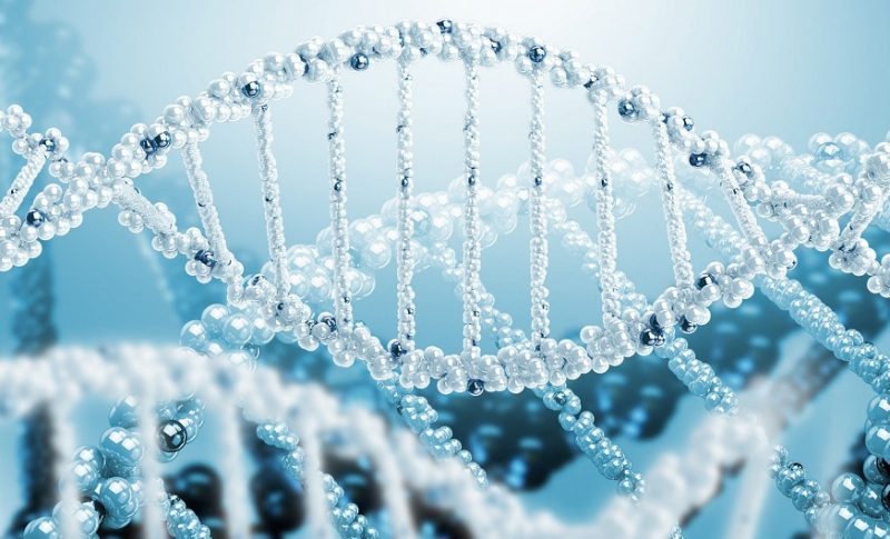 Genetik – Yakın Doğu Üniversitesi Hastanesi